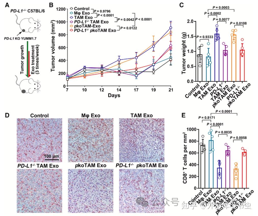 文献分享【Cell Rep.】巨噬细胞来源外泌体携带PD-L1导致肿瘤免疫抑制 - 知乎