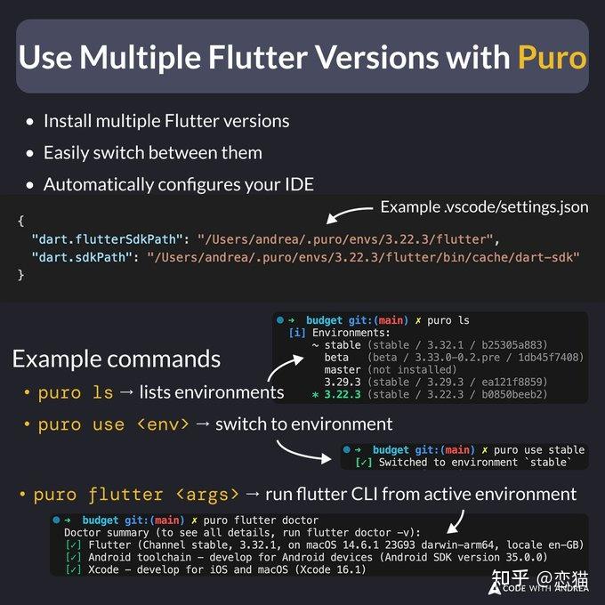 Flutter 多版本管理工具 Puro ，它和 FVM 有什么区别？ - 知乎