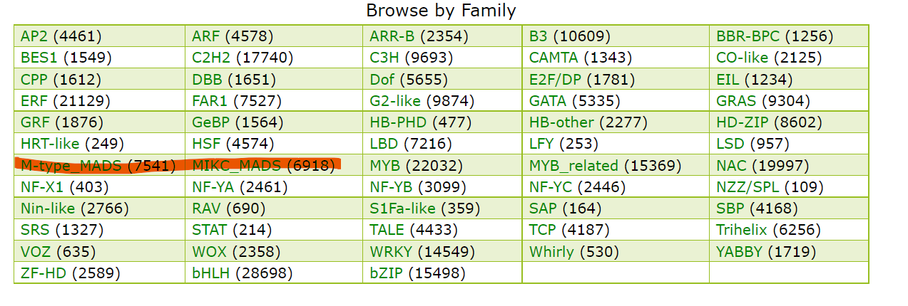 各位大佬，MADS-box到底是个啥呀，能具体说一下嘛，里面有转录因子是吗，还有它的保守结构域又是啥？ - 知乎