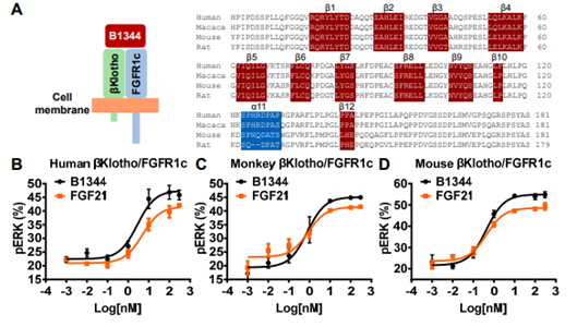 【对症创药】热门靶点FGF21类似物-NASH疗法的诗和远方！ - 知乎