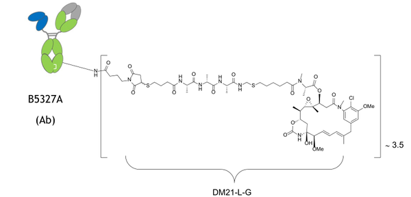 继第一款FRa ADC开发成功后，ImmunoGen为什么又开发了第二款？ - 知乎