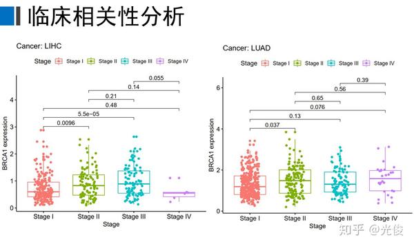 pan-cancer泛癌单基因文章套路(TCGA泛癌分析) - 知乎