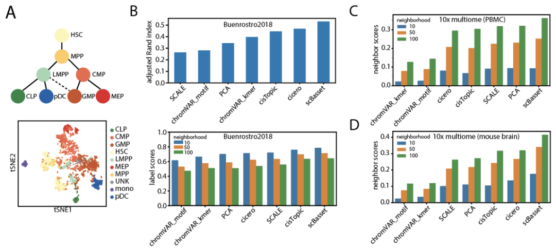 Nat. Methods | scBasset：基于DNA序列的单细胞ATAC-seq卷积神经网络建模 - 知乎