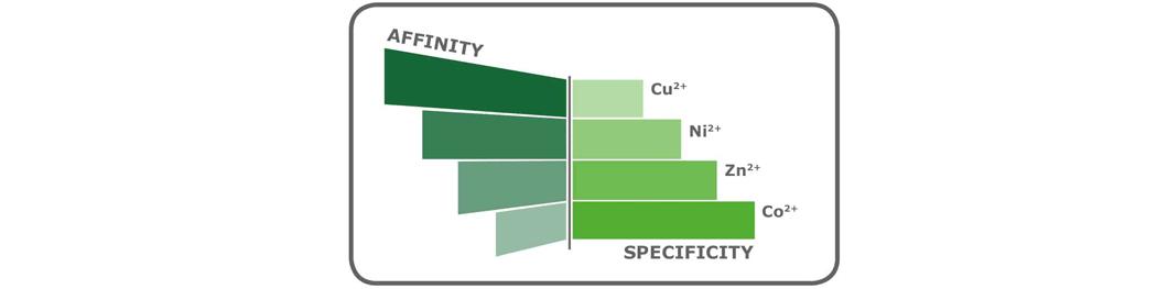 蛋白表达纯化树脂：NTA vs IDA - 知乎