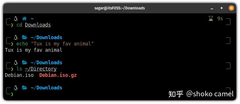 在 Ubuntu Linux 上安装和设置 ZSH - 知乎