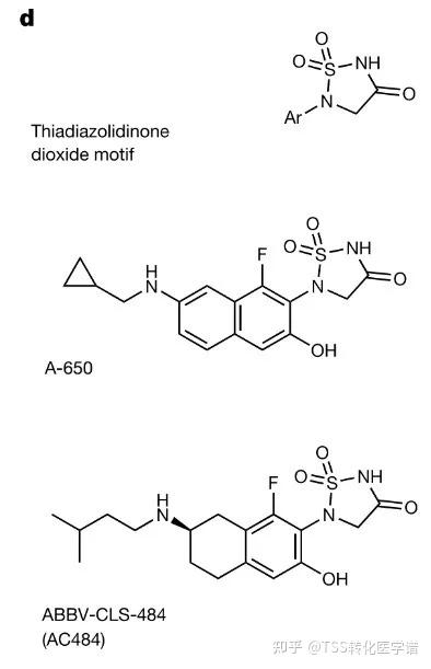 【Nature】磷酸酶PTPN2/PTPN1双抑制剂AC-484显示出有效的抗肿瘤免疫活性 - 知乎