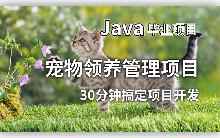 Java项目开发 基于java的宠物领养管理系统附源码 知乎