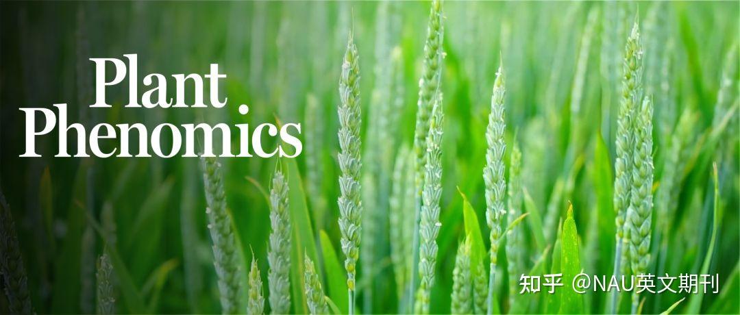 祝贺！Plant Phenomics位列中科院分区一区、Top期刊 - 知乎