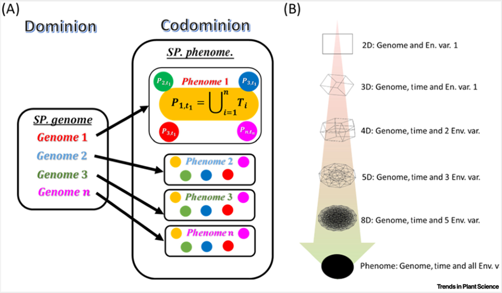 表型组学及其在植物生理学中的重要性 - 知乎