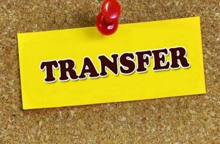 今天来讲讲transfer转投 - 知乎