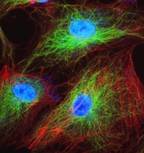 mRNA Factory|利用RiboGreen检测包封率 - 知乎