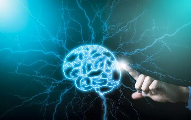 SCI核心期刊发表：BEHAVIORAL AND BRAIN SCIENCES - 知乎