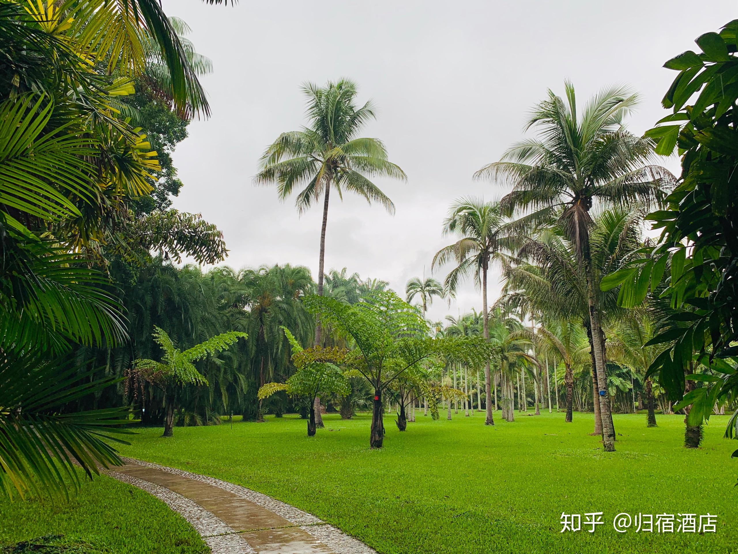 见自然，见万物 - 知乎