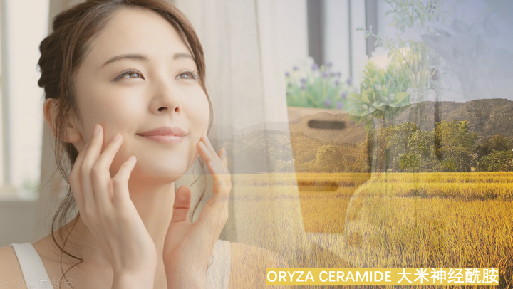 口服美容食品原料Oryza Ceramide大米神经酰胺全球首次新发现，成果获神经酰胺协会Young Investigator Award奖 - 知乎