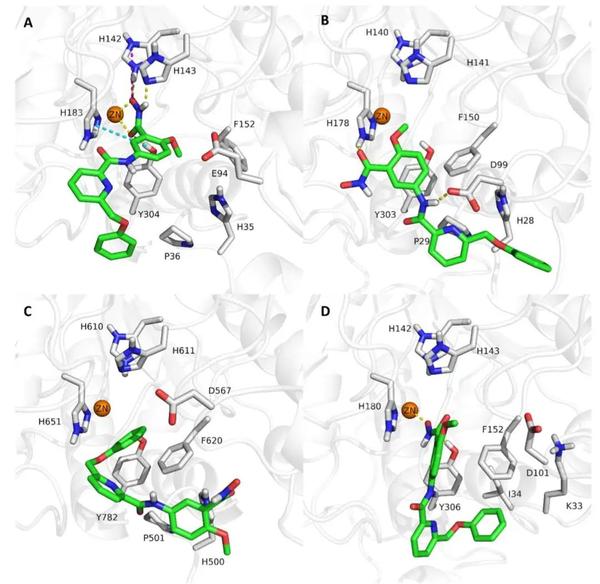 AlphaFold 预测结构在 HDAC11 抑制剂筛选中的应用 - 知乎