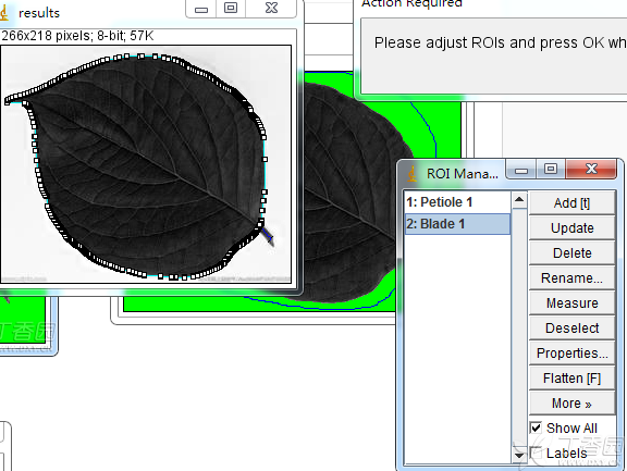 ImageJ的一些基本操作 - 知乎