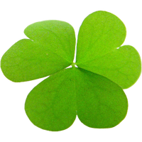 View, SurfaceView, GLSurfaceView, TextureView的区别与联系 - 知乎