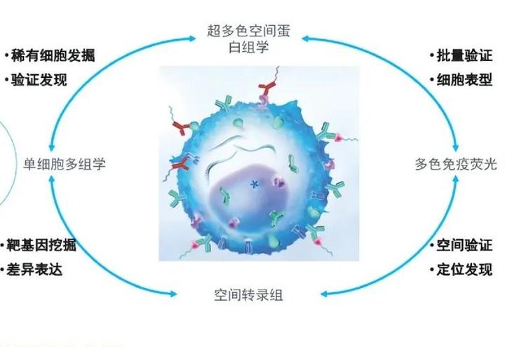单细胞+空间 | 3种技术助力解锁FFPE样本中的新世界！ - 知乎