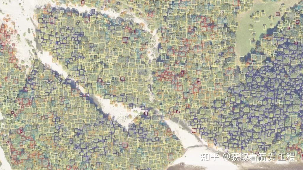 如何使用U-Net模型对大规模高分辨率树种单木分割数据集进行处理 14个不同树种类中分割和标注了23,000个树冠，采集使用了DJI ...