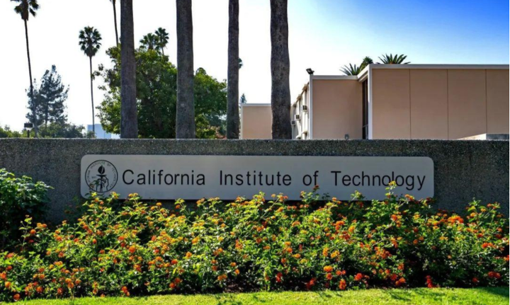 2024Fall美国本科ED/EA录取Week 1，深国交强势 - 知乎