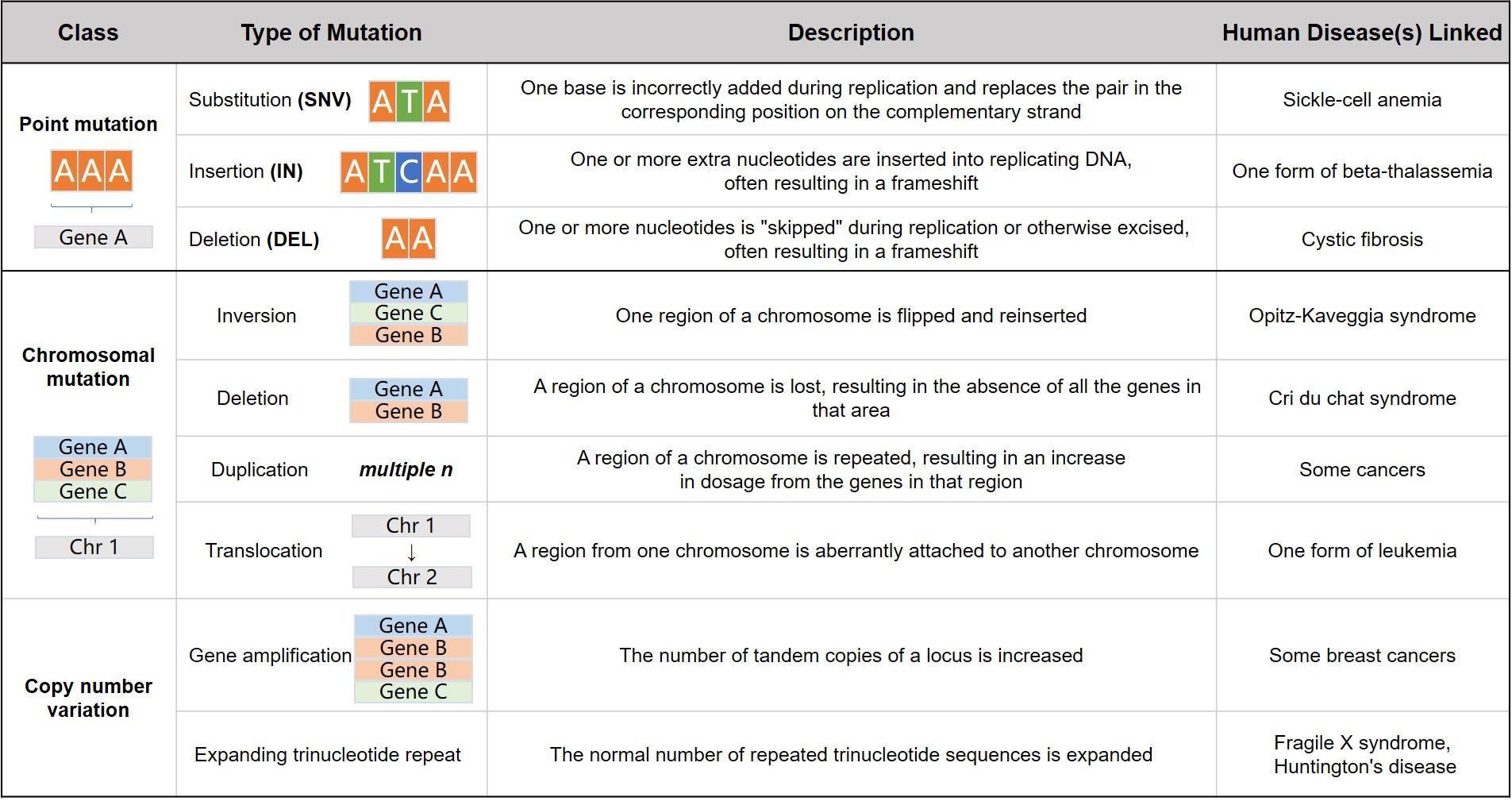 DNA-seq analysis route | 最全面DNA-seq分析学习路径图 - 知乎