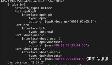 Docker容器+DPDK+virtio网卡的使用与测试 - 知乎