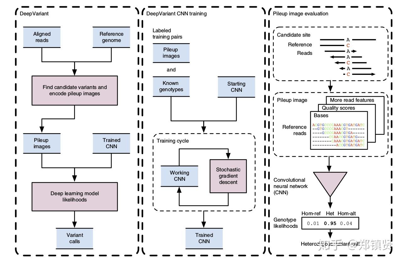 生物信息遇上Deep learning(1): DeepVariant-谷歌图像编码做DNA异常检测 - 知乎