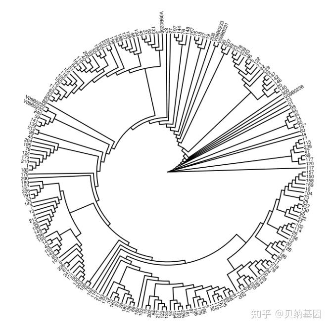 Hyper-seq测序应用——核心种质与DNA指纹图谱构建 - 知乎