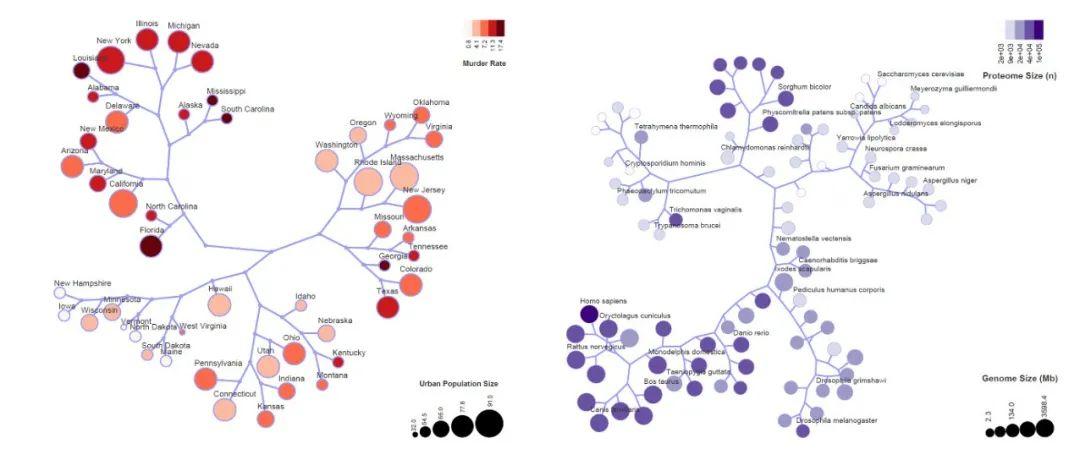 R语言教程|8步绘制绝美进化树 - 知乎
