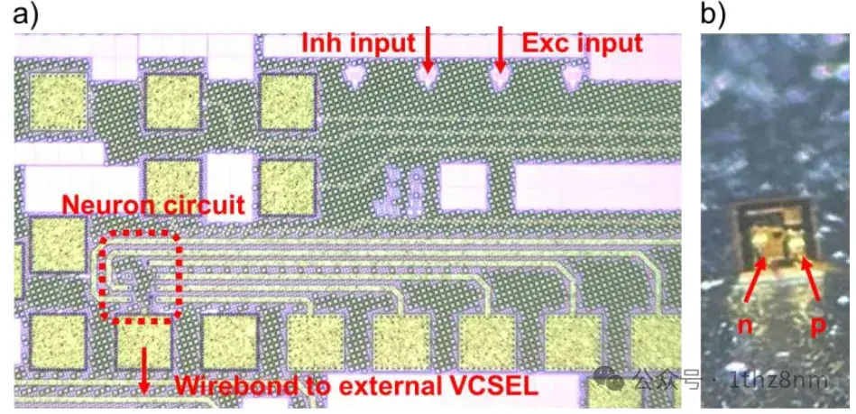 脉冲神经网络（SNN）是通用性更强的CNN和RNN吗？ - 知乎