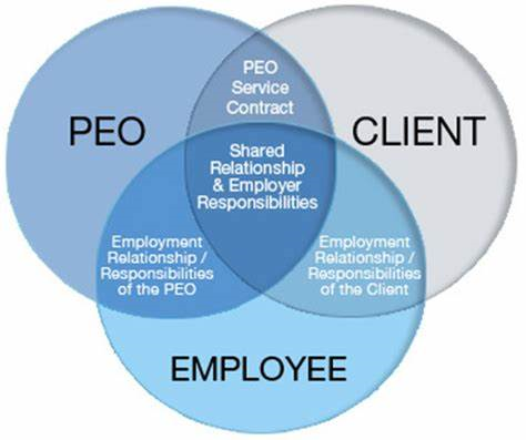 【译海拾贝】PEO专业雇主组织 - 知乎