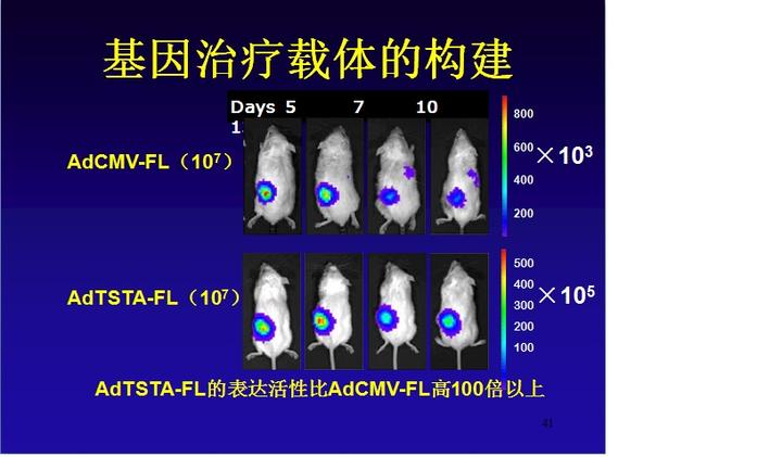 sciencelight D-Luciferin , potassium salt 实验操作步骤 - 知乎
