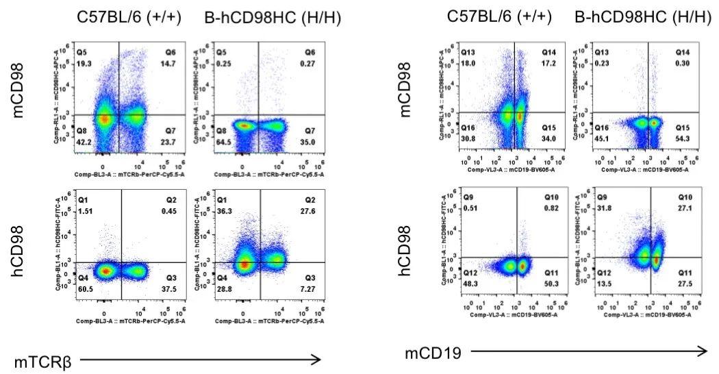 治疗中枢神经系统（CNS）疾病的障碍--血脑屏障 - 知乎