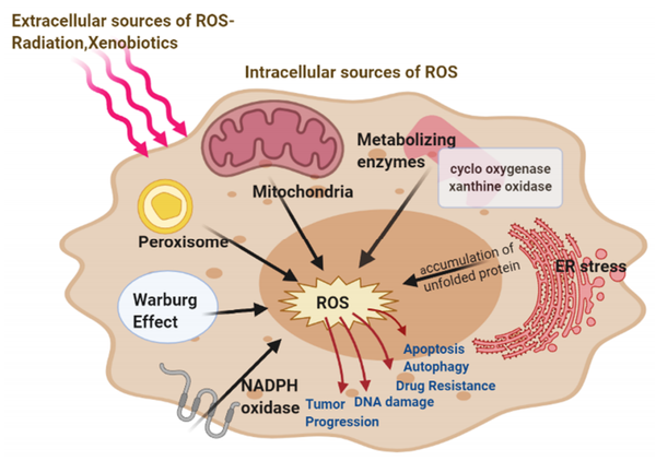 活性氧ROS检测攻略大全 - 知乎