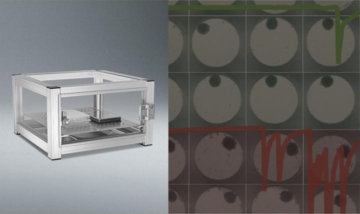 使用Incubox细胞孵育箱降低边缘孔效应（edge-effects）并减少孔间差异 - 知乎