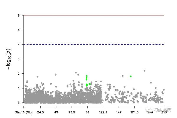 DNA 12. SCI 文章绘图之全基因组关联分析可视化(GWAS) - 知乎