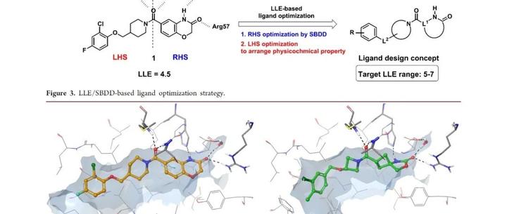 LLE-guided, Structure-based Optimization - 知乎