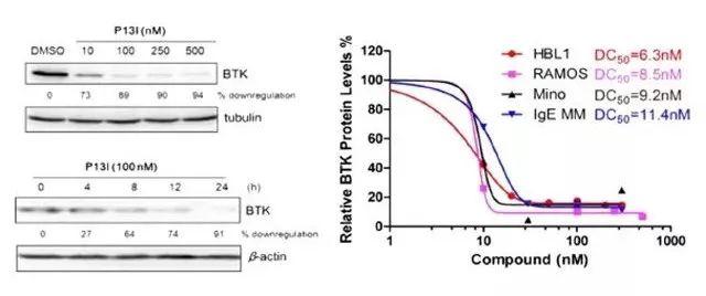 PROTAC 技术靶向降解 BTK - 知乎
