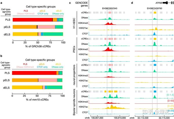 ENCODE项目第三期论文解读之一：扩增的人和小鼠基因组的DNA元件百科 - 知乎
