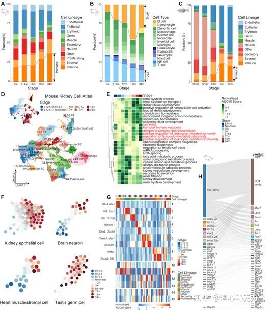 文献阅读| Construction of a cross-species cell landscape at single-cell ...
