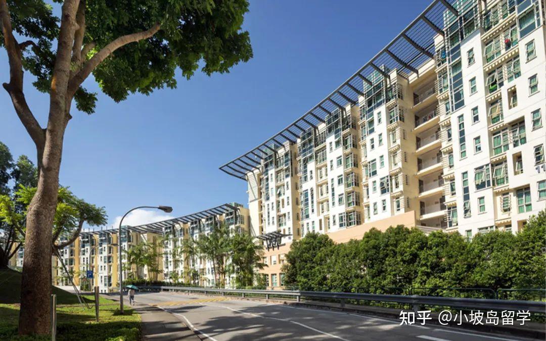 扑榔值稳棚斟听辉篡 | NUS稍垛旱抡柄淆甜趾澈？ - 知乎