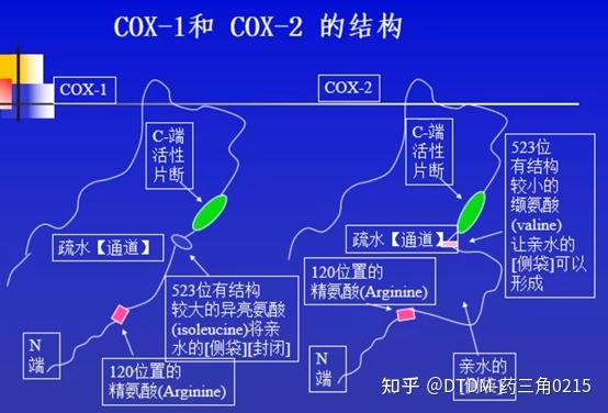 塞来昔布-非甾体抗炎药 - 知乎