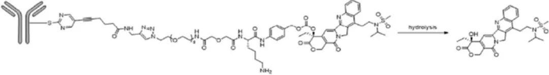 三优药讯｜ASCO23重大ADC临床结果解读（国产篇） - 知乎