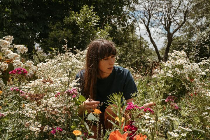 像 Alice Roca 一样收集春天 - 知乎