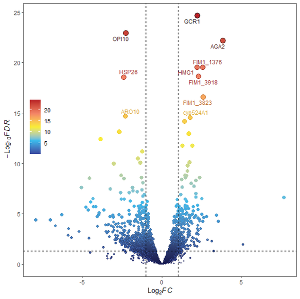 一行代码绘制高分SCI火山图 - 知乎