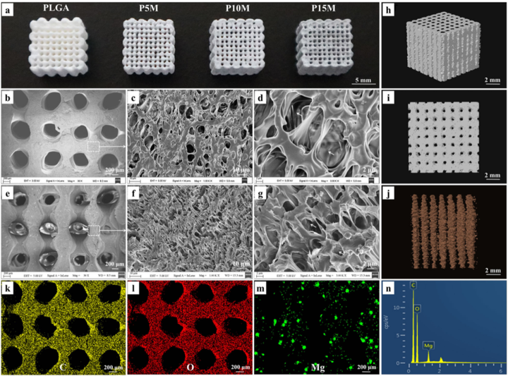 Biomaterials：通过低温沉积3D打印技术构建了PLGA/Mg复合支架，用于OS的综合术后治疗 - 知乎