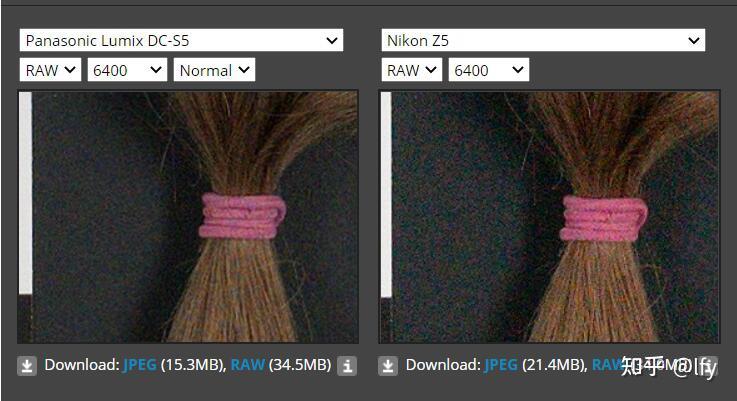 尼康Z5和松下S5拍照有区别么（只拍照）? - 知乎