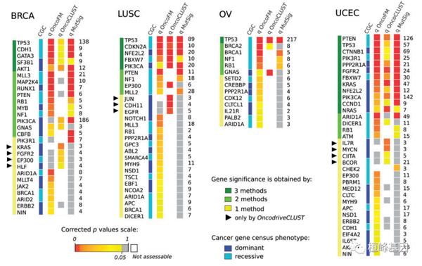 DNA 10. 识别癌症驱动基因 (OncodriveCLUST) - 知乎