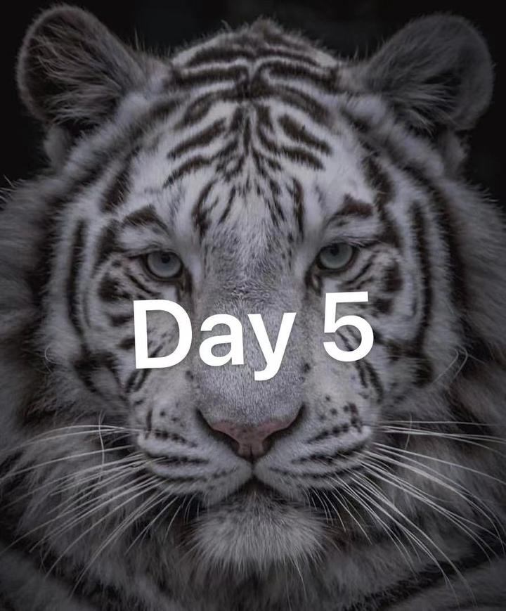 记录改变——Day5，拉开窗帘就好了 - 知乎