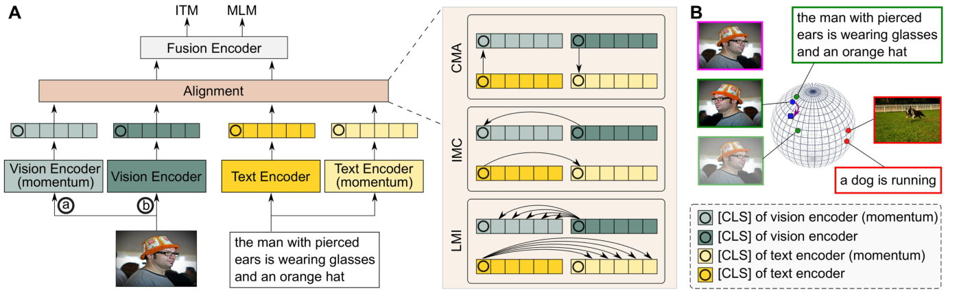 CVPR2022-TCL-三重对比学习的视觉语言预训练模型 - 知乎